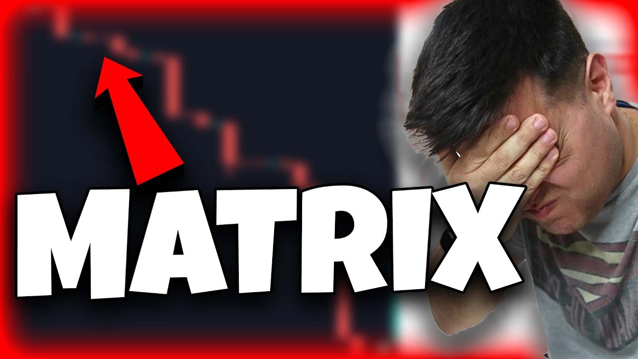 MATRIX Coin A Dog in The Matrix Token 🚀 How did these 2 Whales make ...