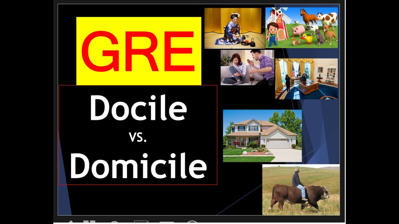 Docile Meaning Domicile Meaning Confusing GRE Words With Images docile-meaning-domicile-meaning-confusing-gre-words-with-images