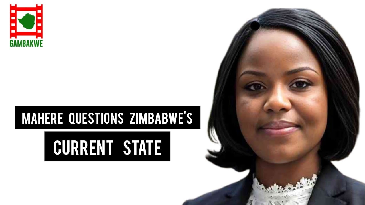 Mahere Questions Zimbabwe's Current State. - YouTube