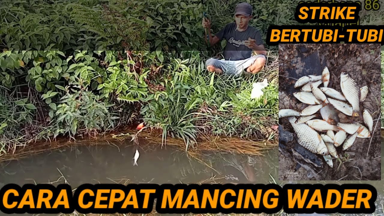 Fishing Video)MANCING IKAN DI PARIT SAWIT, STRIKE BERTUBI-TUBI - YouTube