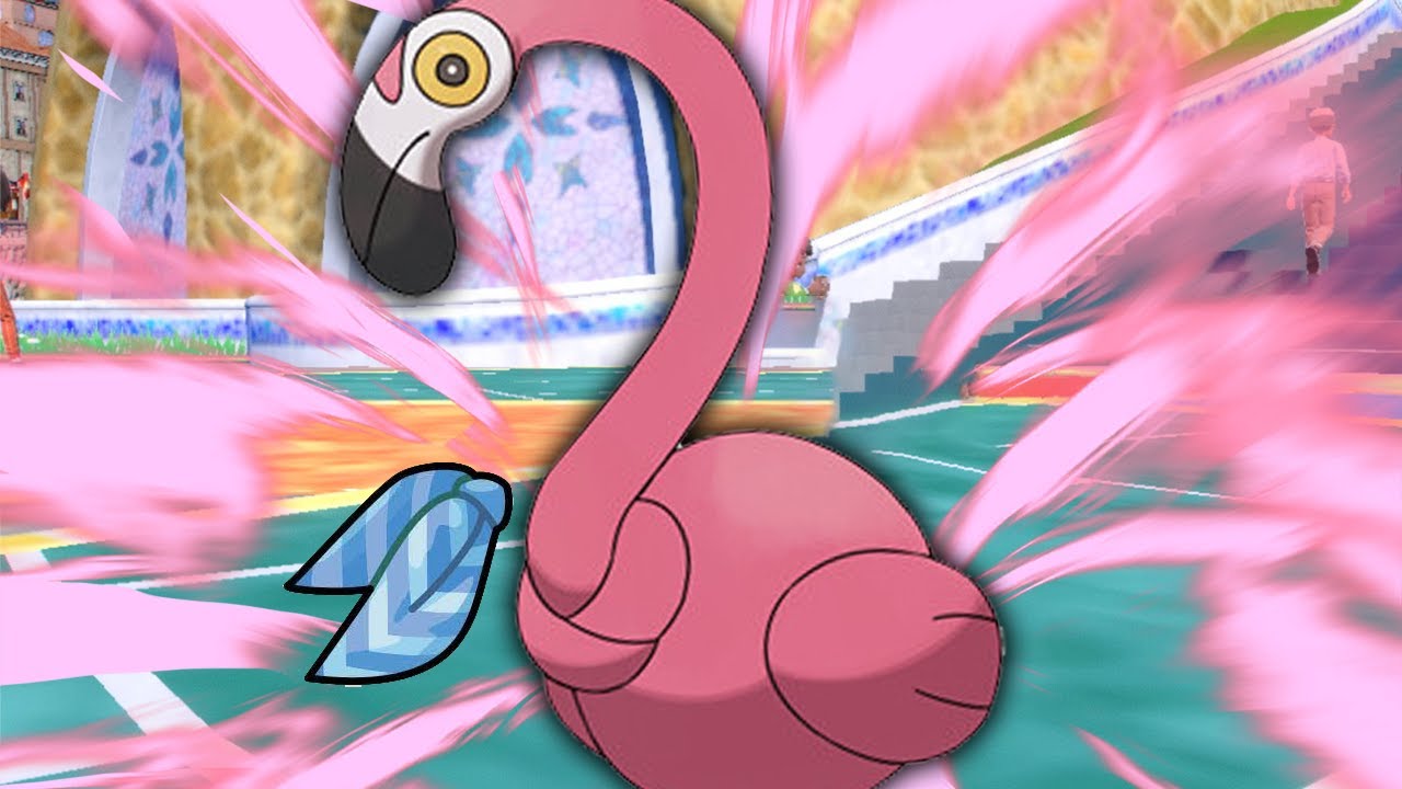 Flamigo: The Most Clutch New Fighting Type - YouTube