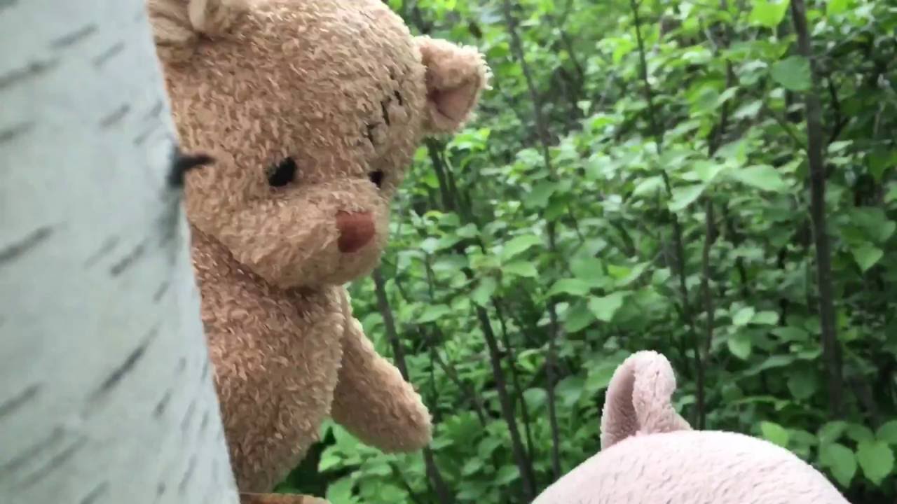 Teddy, Set, GO! - YouTube