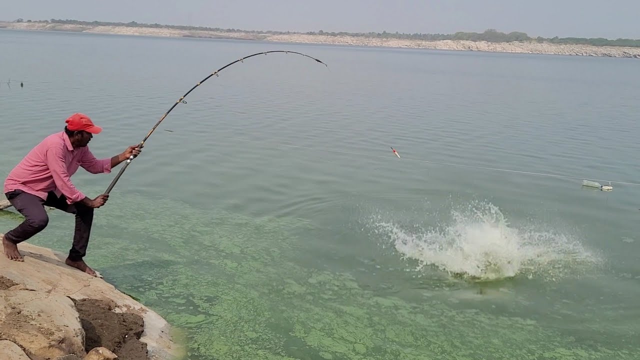 TiGGY GALA Fishing 🎣 BiG SIZE ROHU Fishes to Catching Triple Hook - YouTube