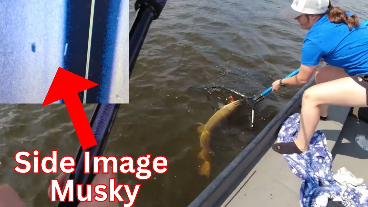 Crazy MUSKY Pattern Found Using SIDE IMAGING!! - YouTube