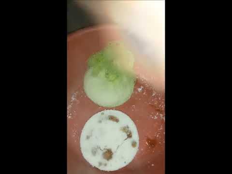 how to make stream cake in easy way..ভাপা পিঠা ব্লগ।। Stream cake in ...