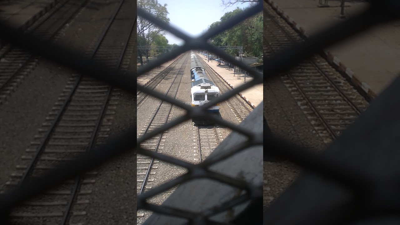 Trains are going on the road at Sohagpur station - YouTube