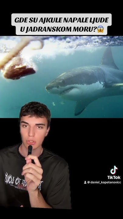 GDE SU AJKULE UBILE LJUDE U JADRANSKOM MORU?🦈😱 - YouTube