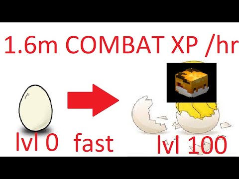 How to level up GOLDEN DRAGON FAST | one of THE BEST Combat XP method ...
