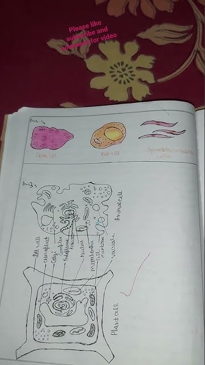 dav class 8 science chapter 1 the cell - its structure and functions ques answ - YouTube