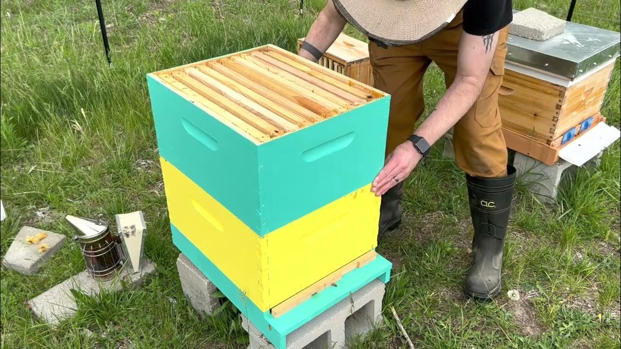 Adding a Second Brood Box - YouTube