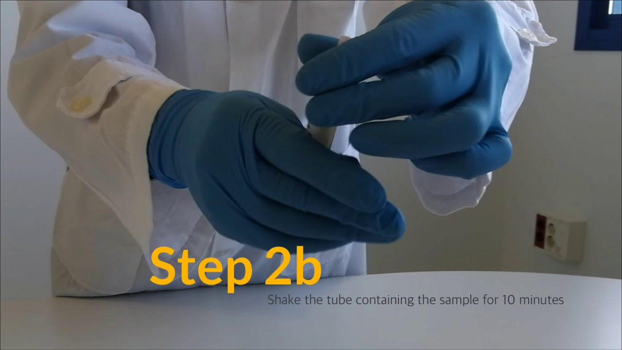 How to use iVYCHECK GIP Stool (English) - YouTube