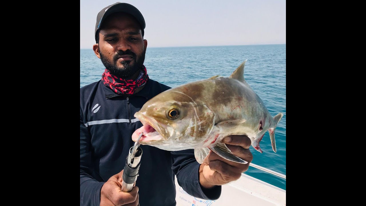 FISHING IN QATAR 🇶🇦 - YouTube