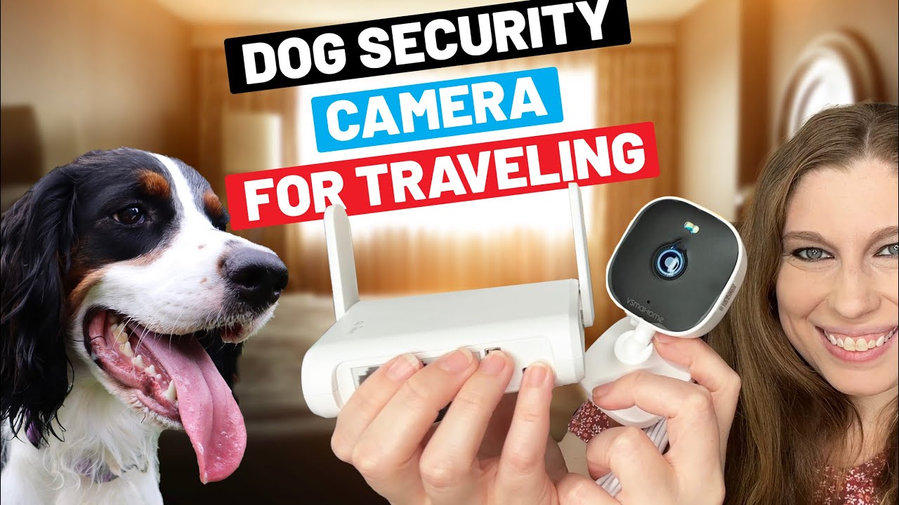How To Use Dog Cameras While Traveling (Time Saver!) - YouTube