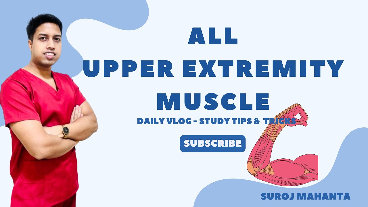 All Upper Extremity Muscles | Innervation|(Tips and Tricks)|Suroj ...