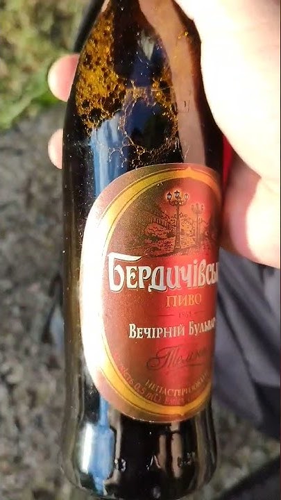 Вечерний Бульвар - вкусное тёмное пиво из Бердичева #shorts - YouTube