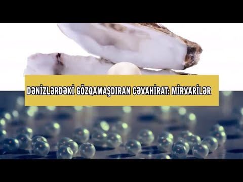 Dənizlərdəki göz qamaşdıran cəvahirat: Mirvarilər