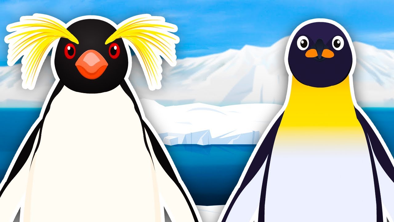 Funky Penguin Dance! | Animal Sounds Song for Kids | Kids Learning ...