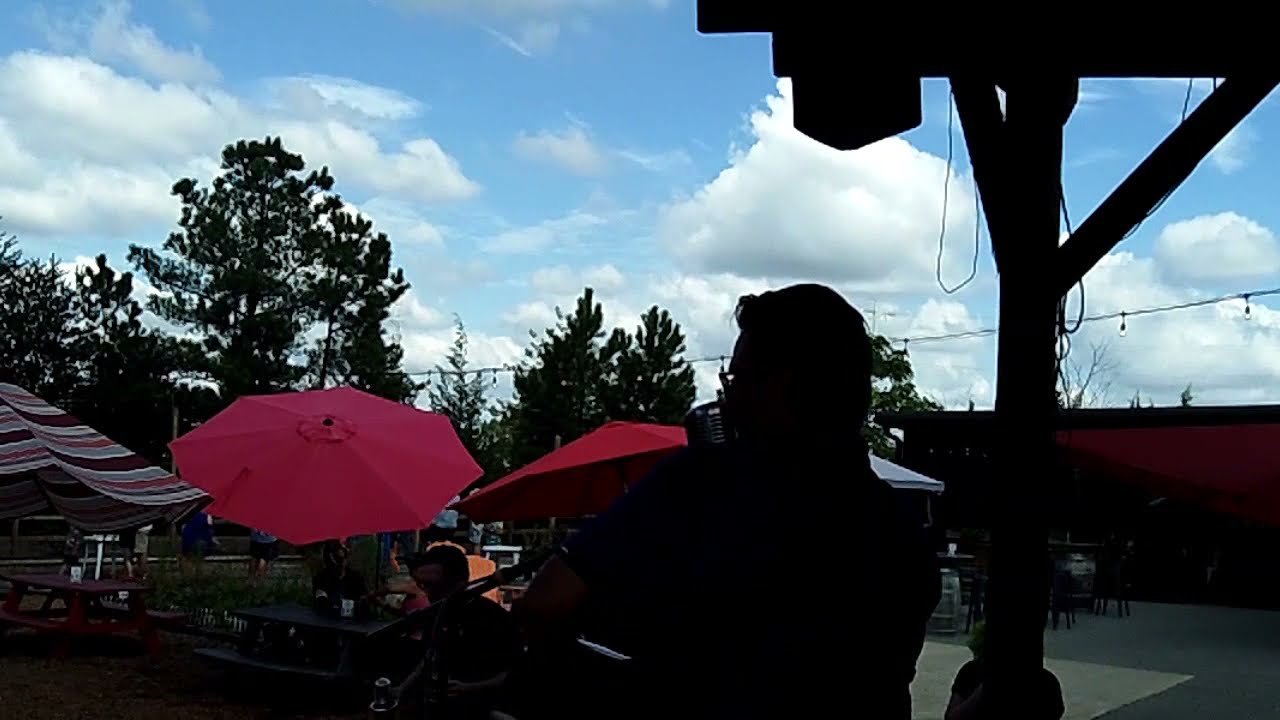 Vince Borrelli from VinBmusic.com at Brambly Park September 2021 - YouTube