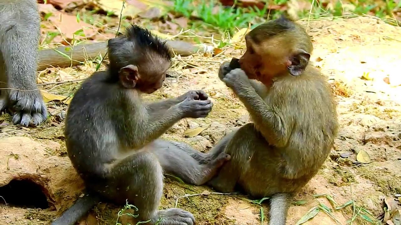 What matter on King Marcus cry call Amari group Poor all Amari group ...