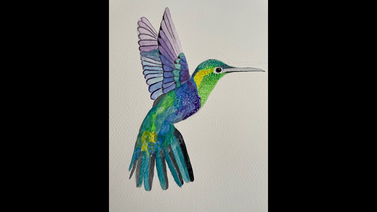 Hummingbird short - YouTube