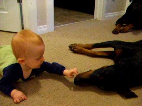 Baby scooching - YouTube