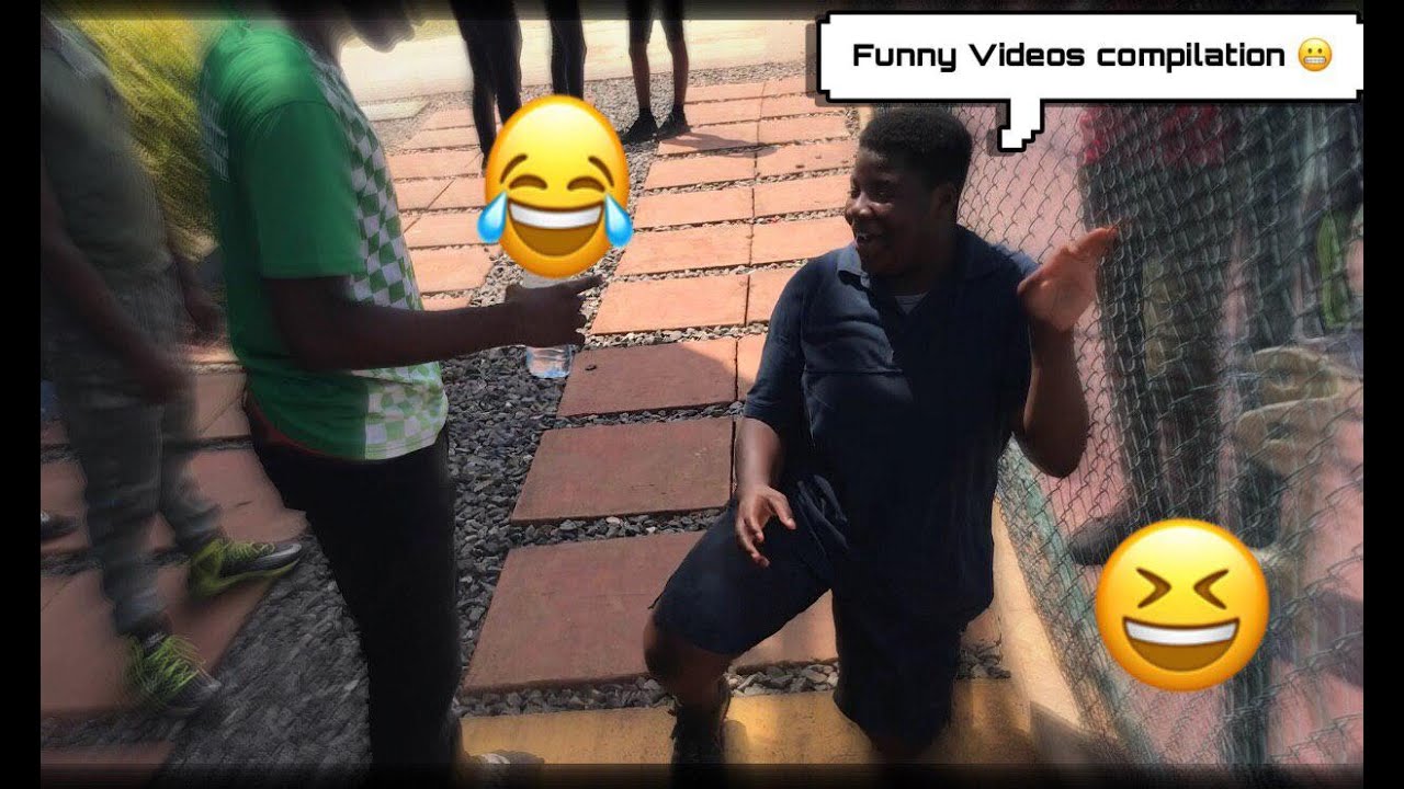 Compilation of Funny Videos || Try not to laugh!😂 - YouTube