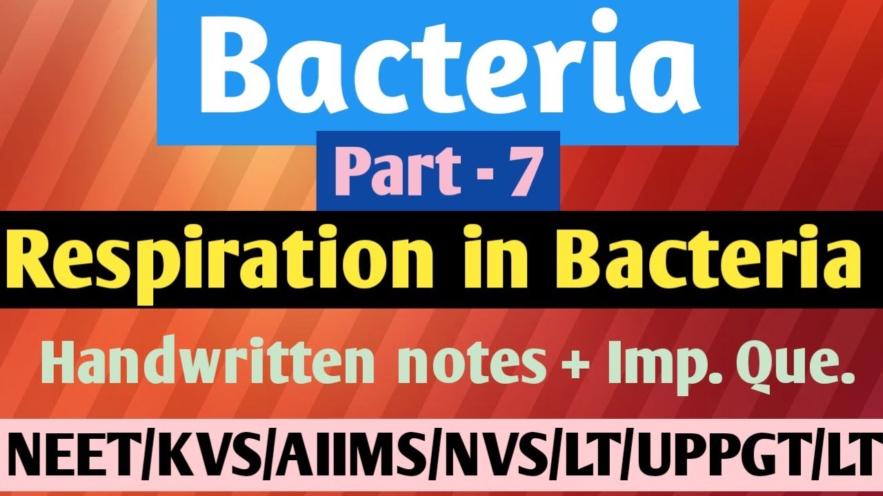 Bacteria : Part - 7 : Respiration in Bacteria(Handwritten notes +Imp ...