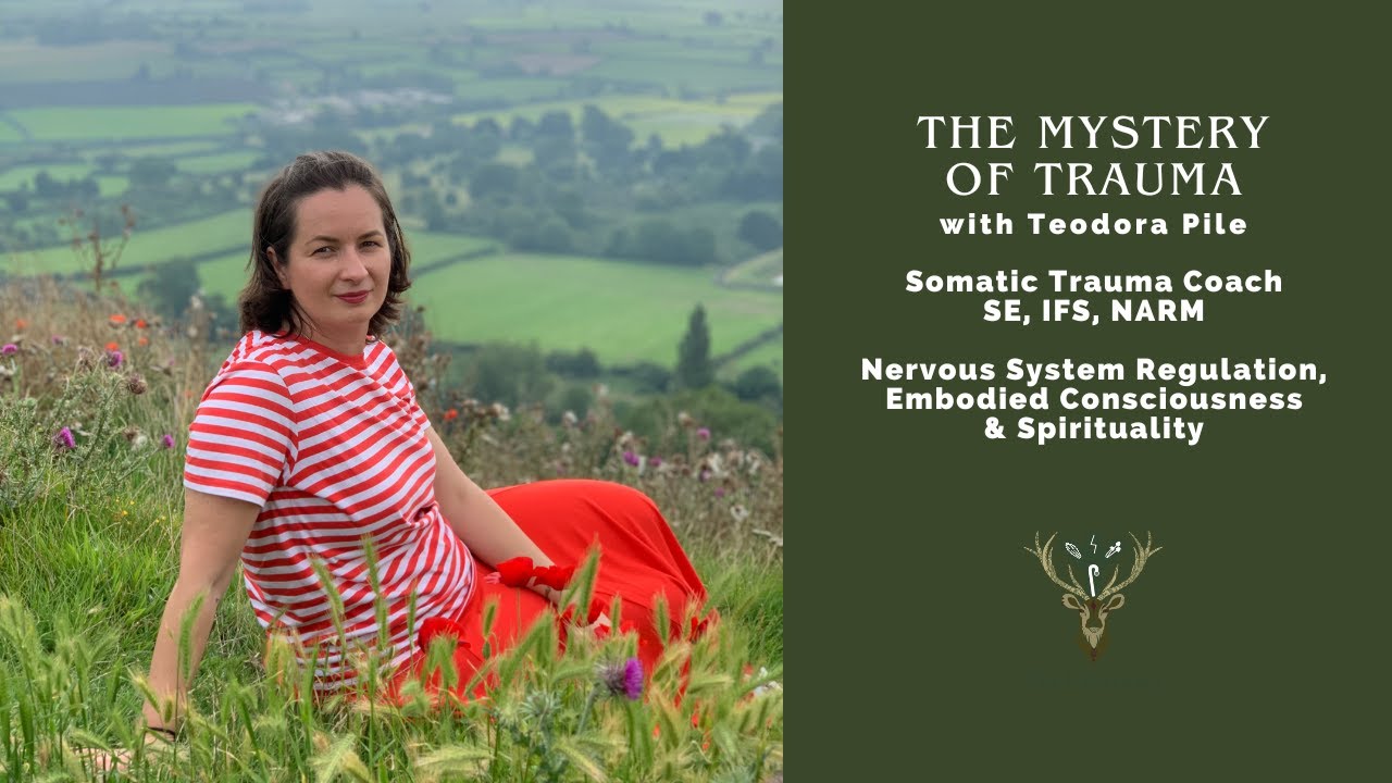 The Mystery of Trauma, a conversation on Trauma, Nervous system ...