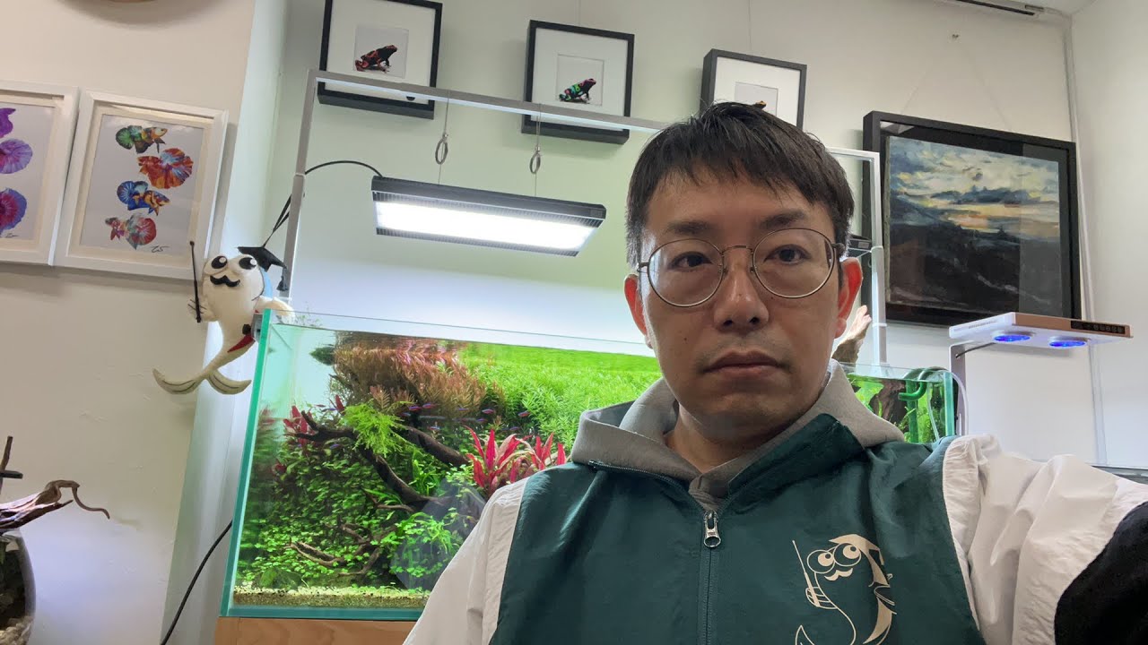 まったりとしたYouTubeライブ - YouTube