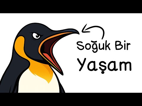 Eğer Bir Penguen Olarak Doğsaydın?