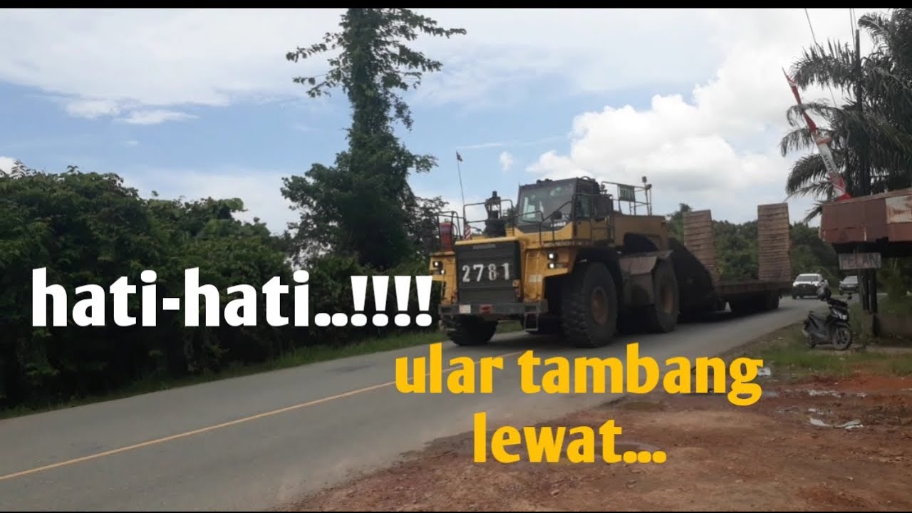 Lowboy angkutan unit tambang - YouTube