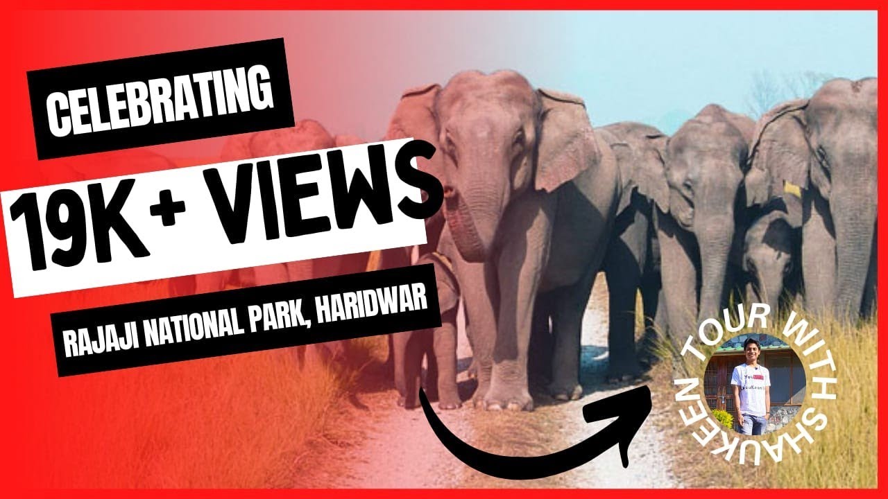 RajaJi National Park Haridwar l Jungle Safari l Chilla Range l Dehradun ...