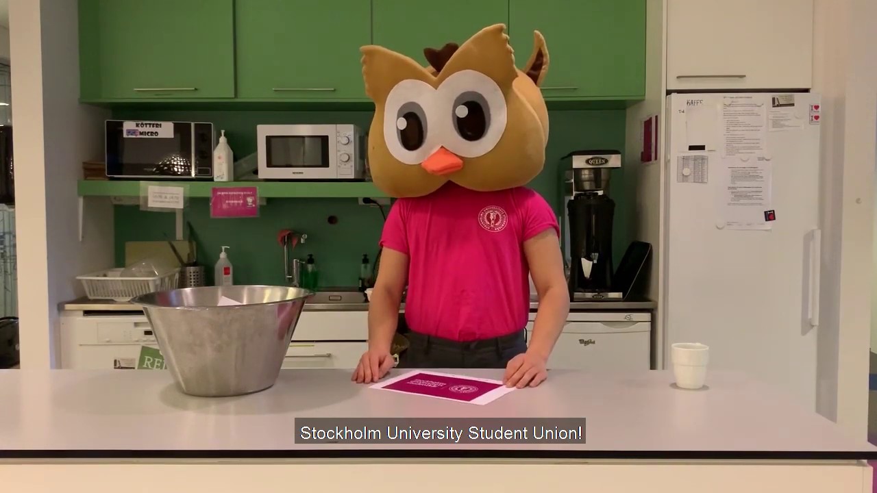 Stockholm University Student Union - YouTube