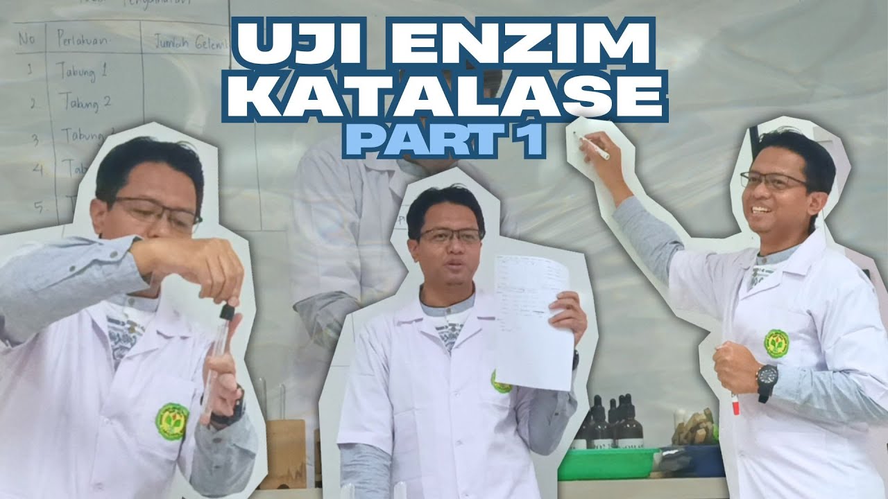 Biologi - Uji Enzim Katalase - Part 1 - YouTube