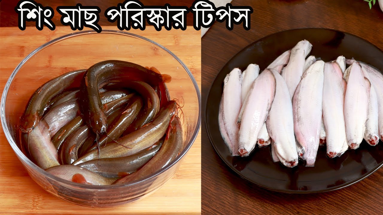 শিং মাছ ধকধকে সাদা করে পরিস্কার করার সহজ পদ্ধতি | Shing Mach Poriskar ...