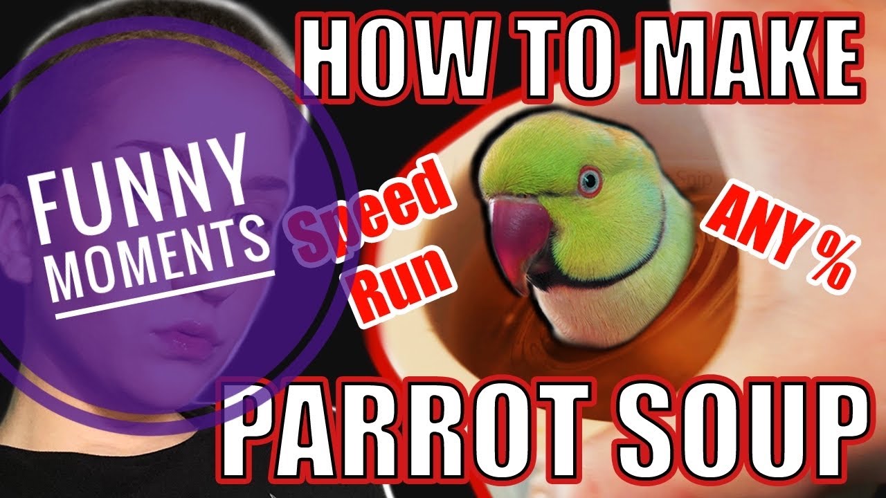 How To Make Parrot Soup | Funny Moments Only - YouTube