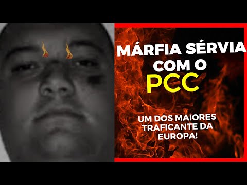 MÁFIA SÉRVIA E PCC JUNTOS!#pcc #racha #marcola - YouTube