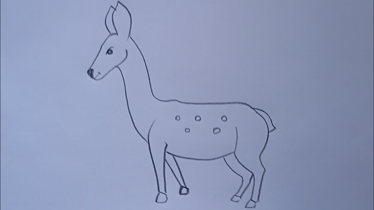 how to draw deer drawing easy step by step@Aarav Drawing Creative - YouTube