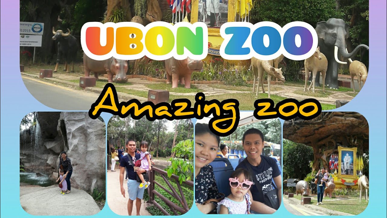 visiting ubon zoo #amazingUbon - YouTube