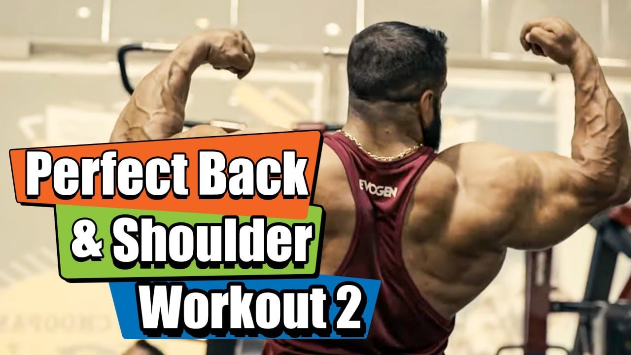 Hadi Choopan | Perfect Back & Shoulder Workout 2 - YouTube