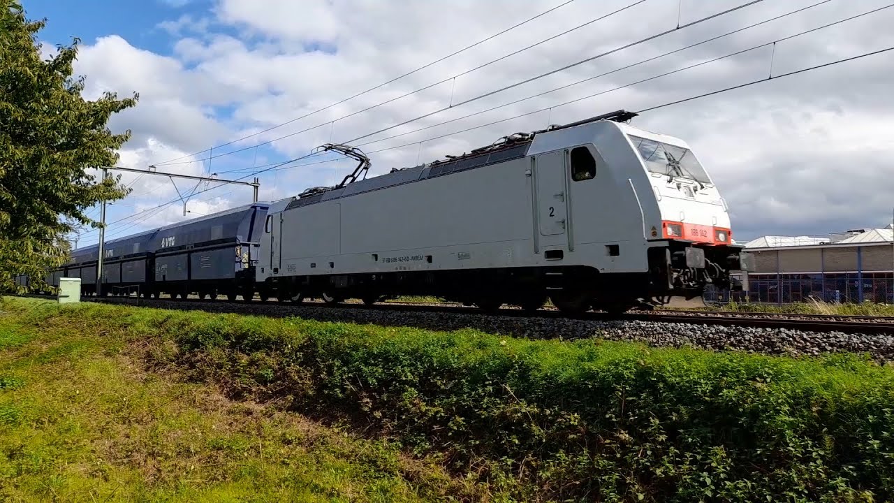 Kolentrein met toetertje - YouTube