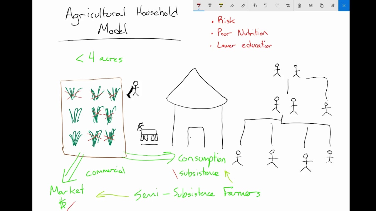 Agricultural Household Model 1 - YouTube