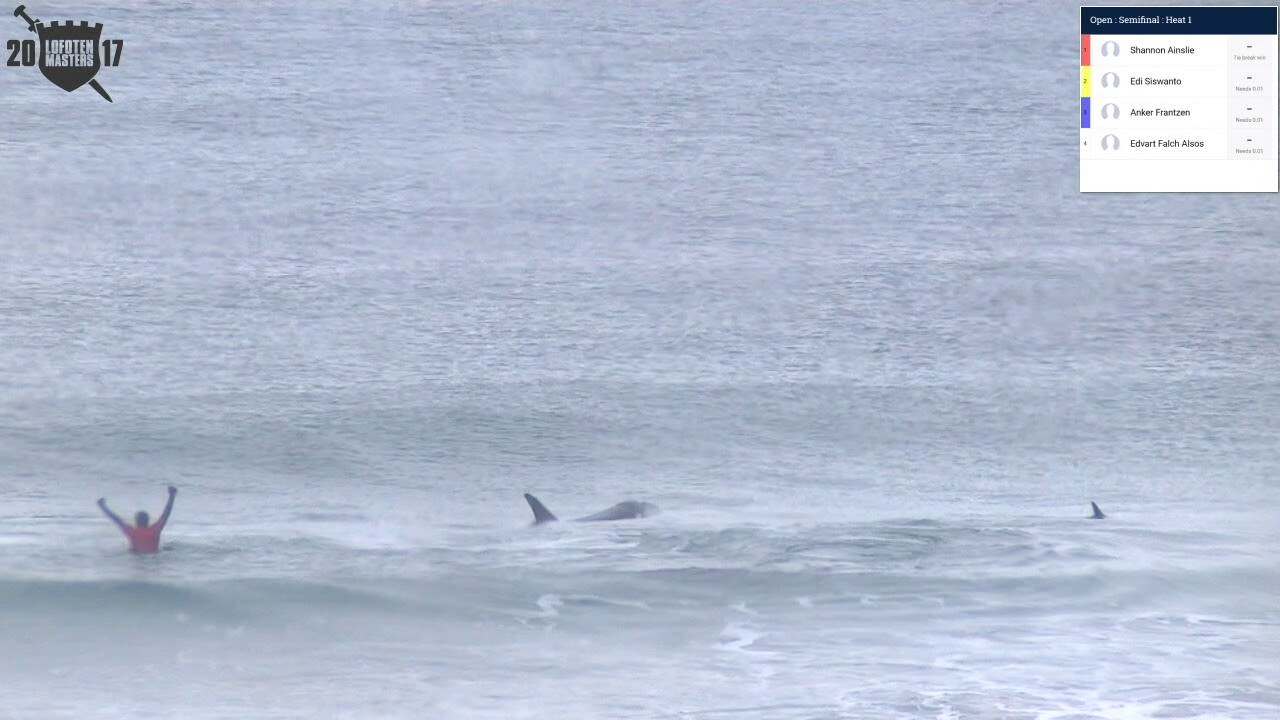 Killer Whales Join Surfers at the 2017 Lofoten Masters - YouTube