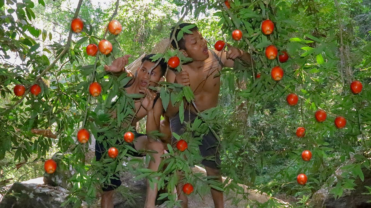 Find apple in jungle to survival on the mountain - adventure in the ...