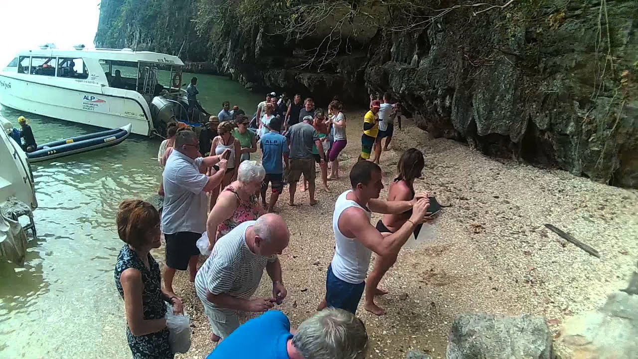 THAILAND - MONKEYS ON PI PI ISLAND - JAN 2015 - YouTube