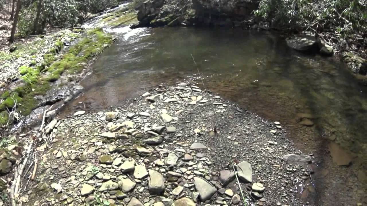 1wt Small Stream Trout - YouTube