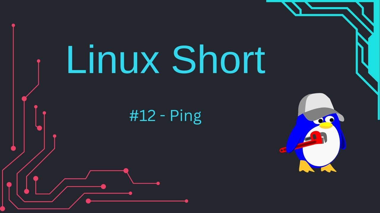 Linux Short #12: Eine Website anpingen - YouTube
