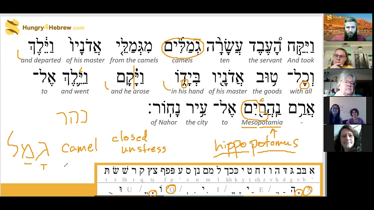Chayei Sarah - Torah Portion Hebrew Study - YouTube
