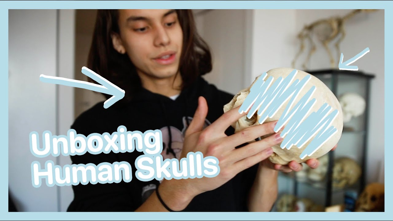 Getting Skulls in the Mail?! - YouTube