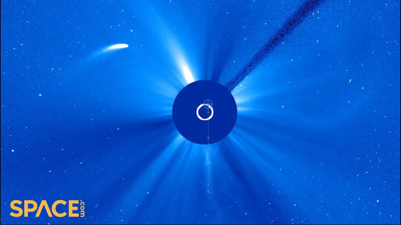 See Comet 96P/Macholz's stunning sun flyby in multiple spacecraft views ...